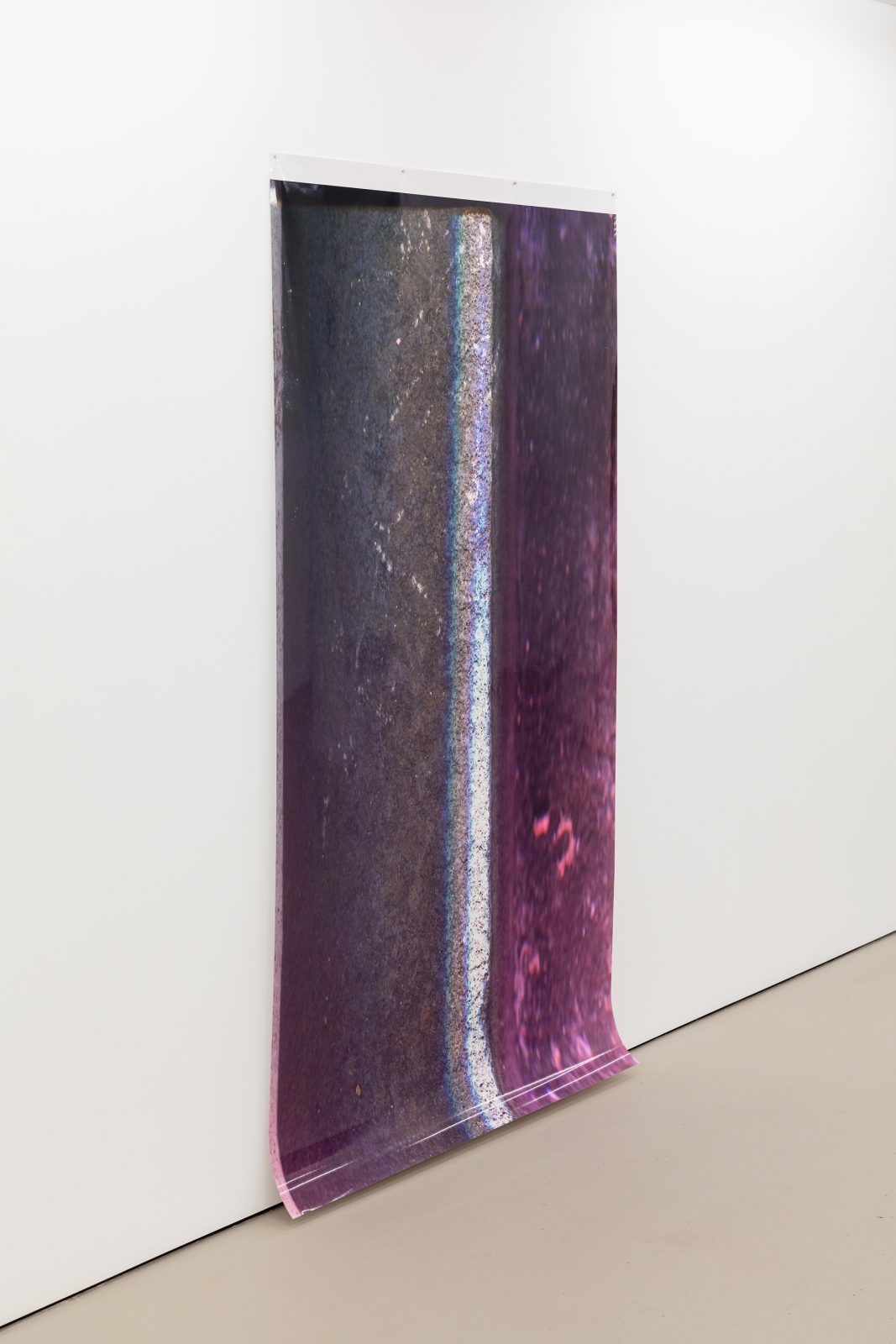 Dane Mitchell | MOSSMAN